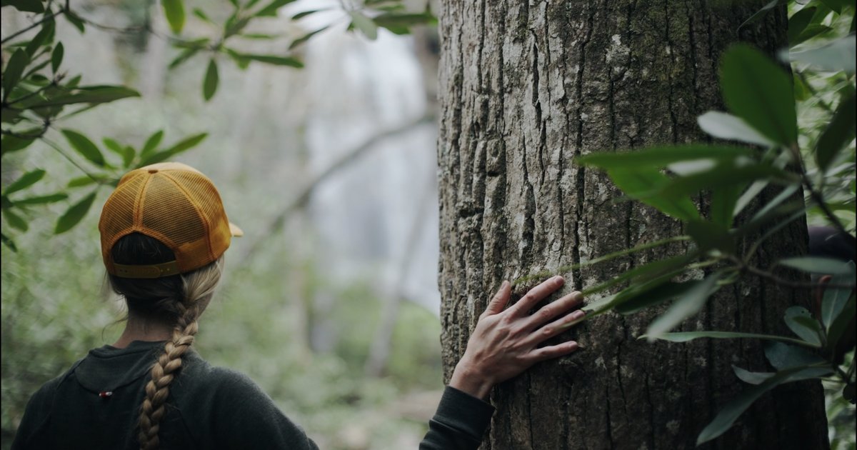 Introducing G5 Trail Collective Trail Tracker: Catawba Falls ...