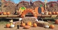 HAUNTED TRAIL + CREEPY CORN MAZE | Destination McDowell